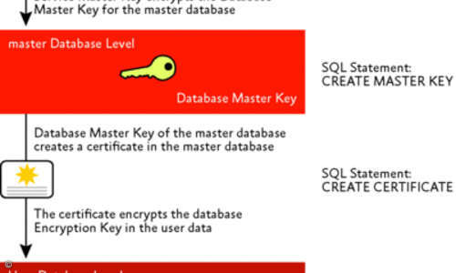 Microsoft bringt SQL Server 2008 - connect-professional